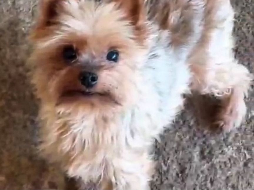 Взрослая девочка