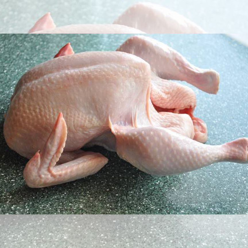 Шкурка для животных