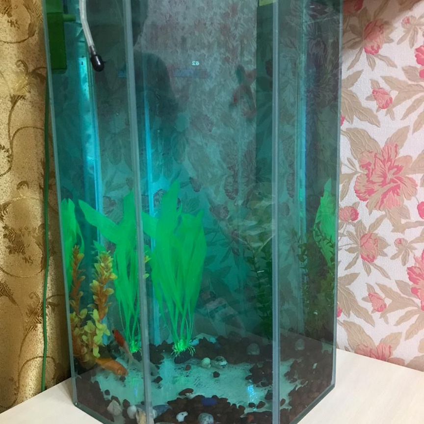 Аквариум 62 литра.высота 55 см