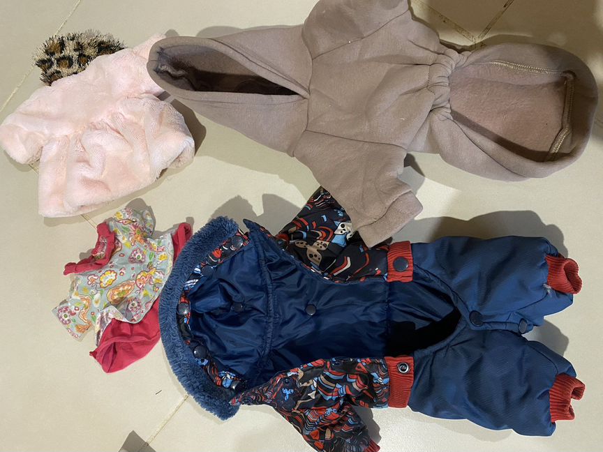 Одежда для собак мини шпиц