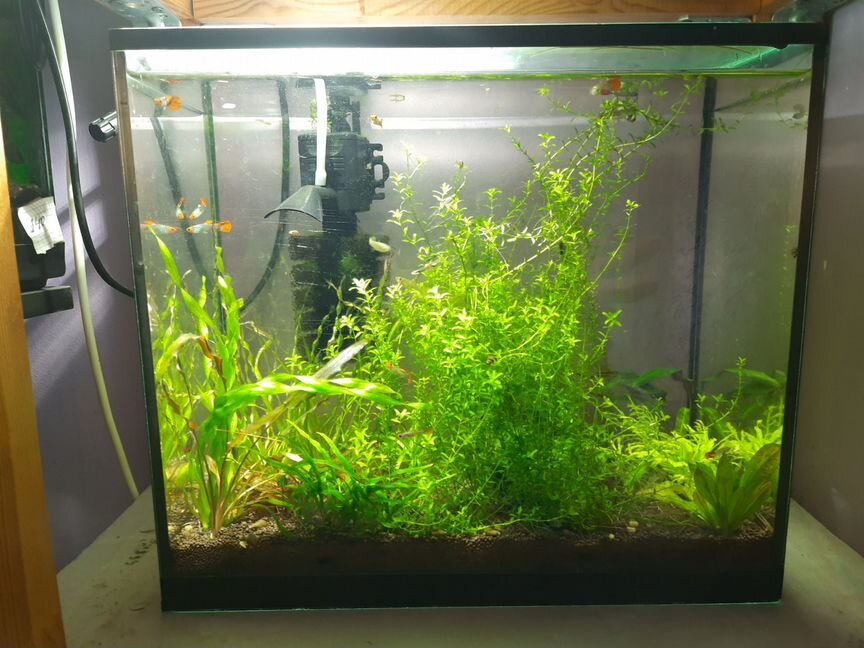 Аквариум 12л и 36л