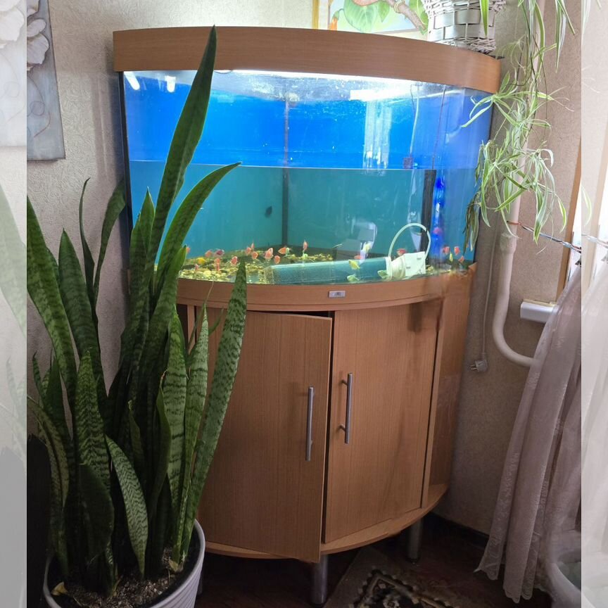 Аквариум с тумбой 190 литров угловой