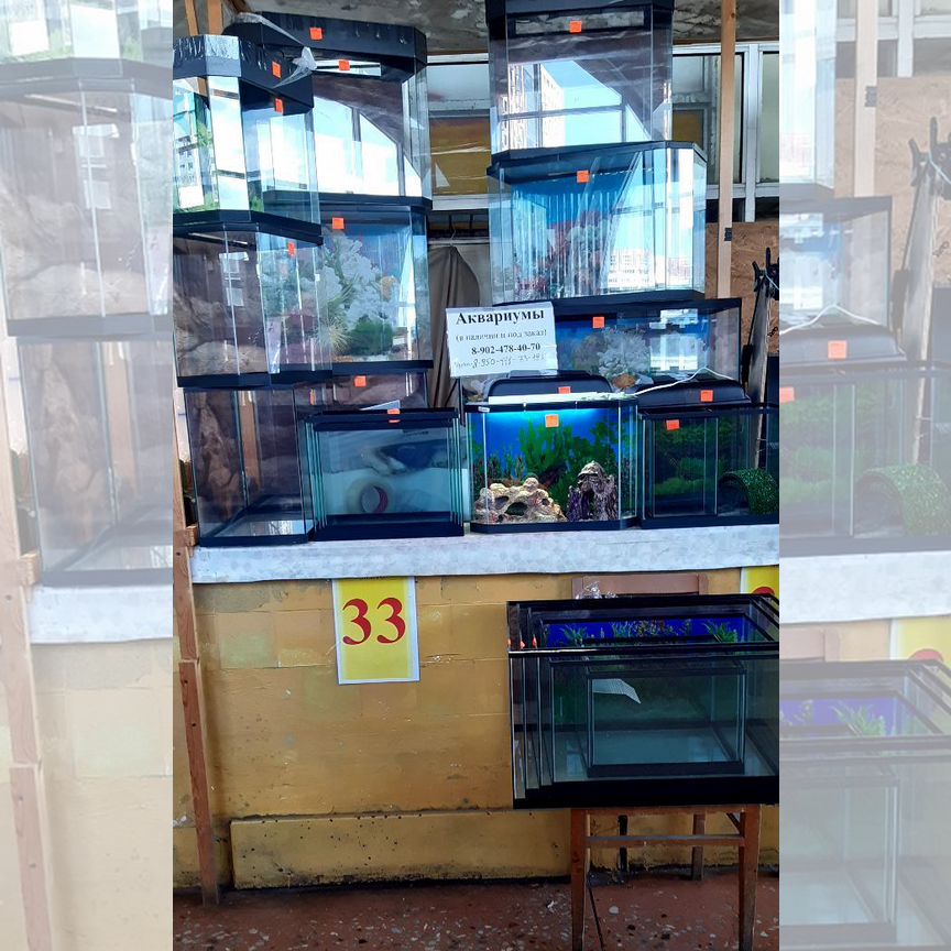 Аквариумы в наличии и под заказ