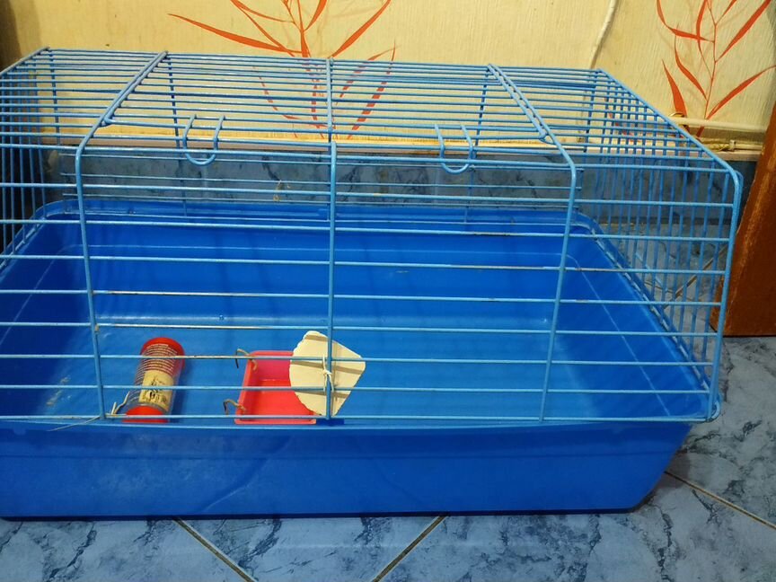 Клетка