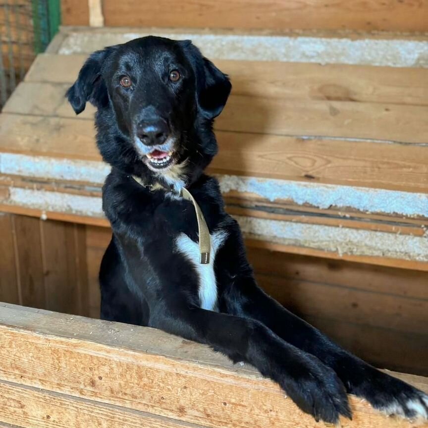 Я буду твоим другом