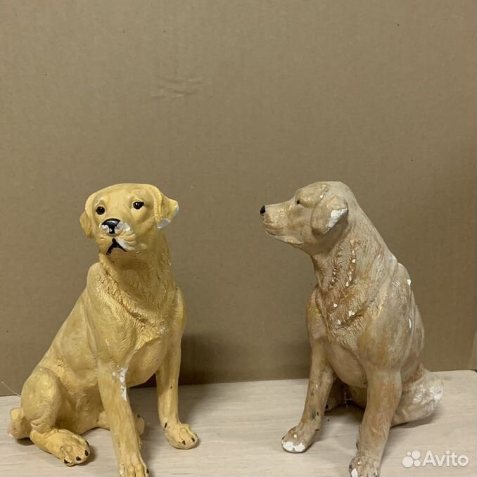 Золотистый ретривер