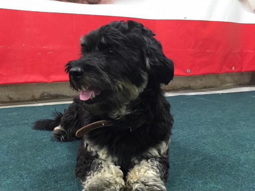 Ищем подружку