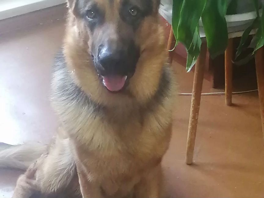 Молодой кабель ждёт свою невесту