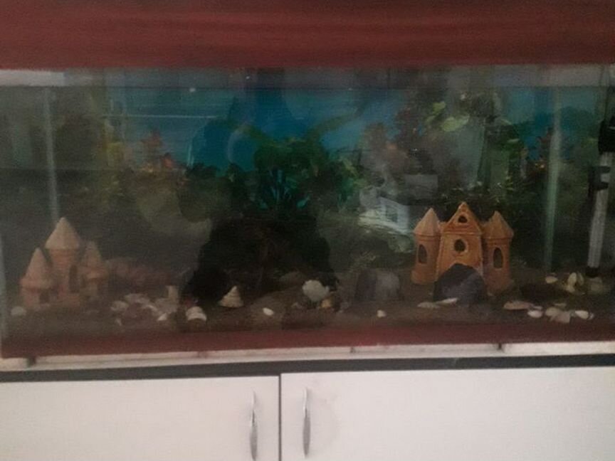 Аквариум с тумбой