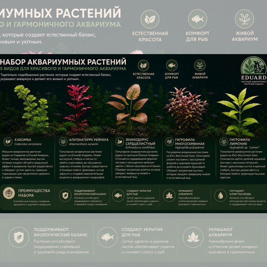 Набор растений в аквариум