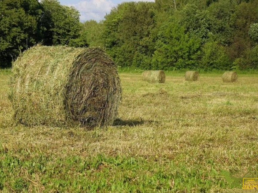 Сено, солома в рулонах