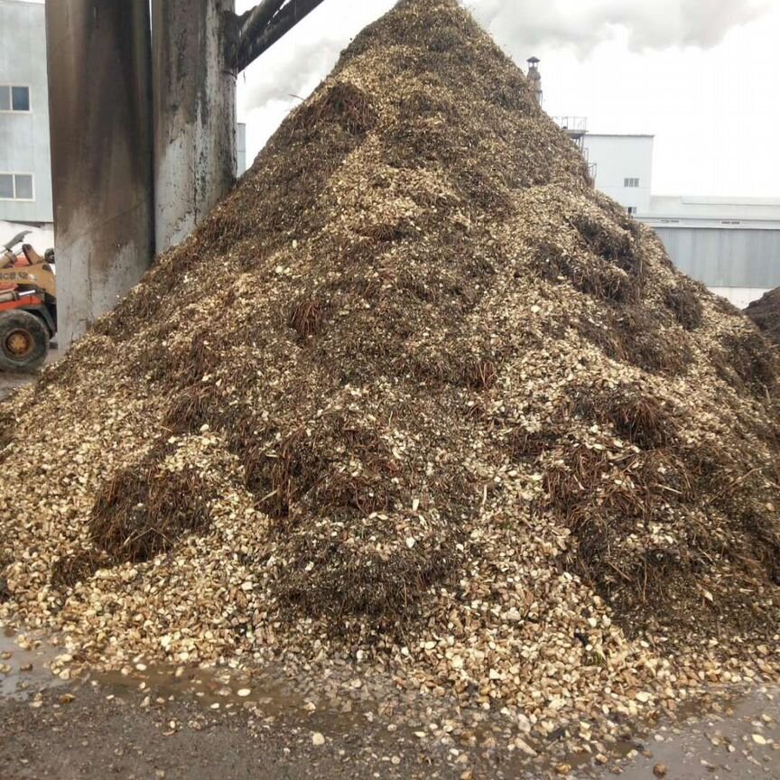 Жом сырой белый из трубы, хвостики