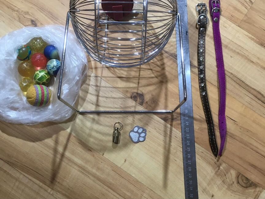 Адресник, ошейники