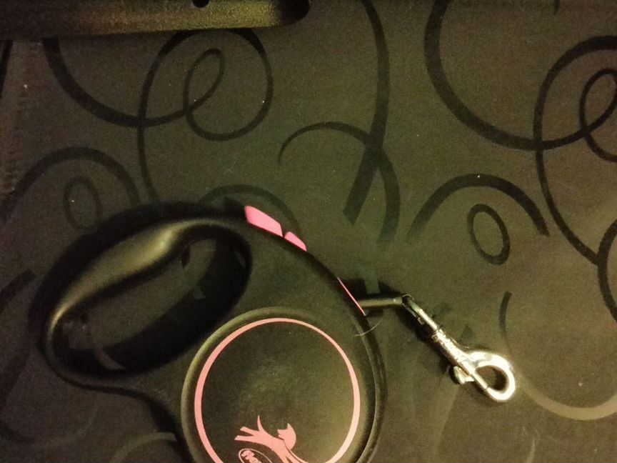 Поводок-рулетка Flexi 5 метров