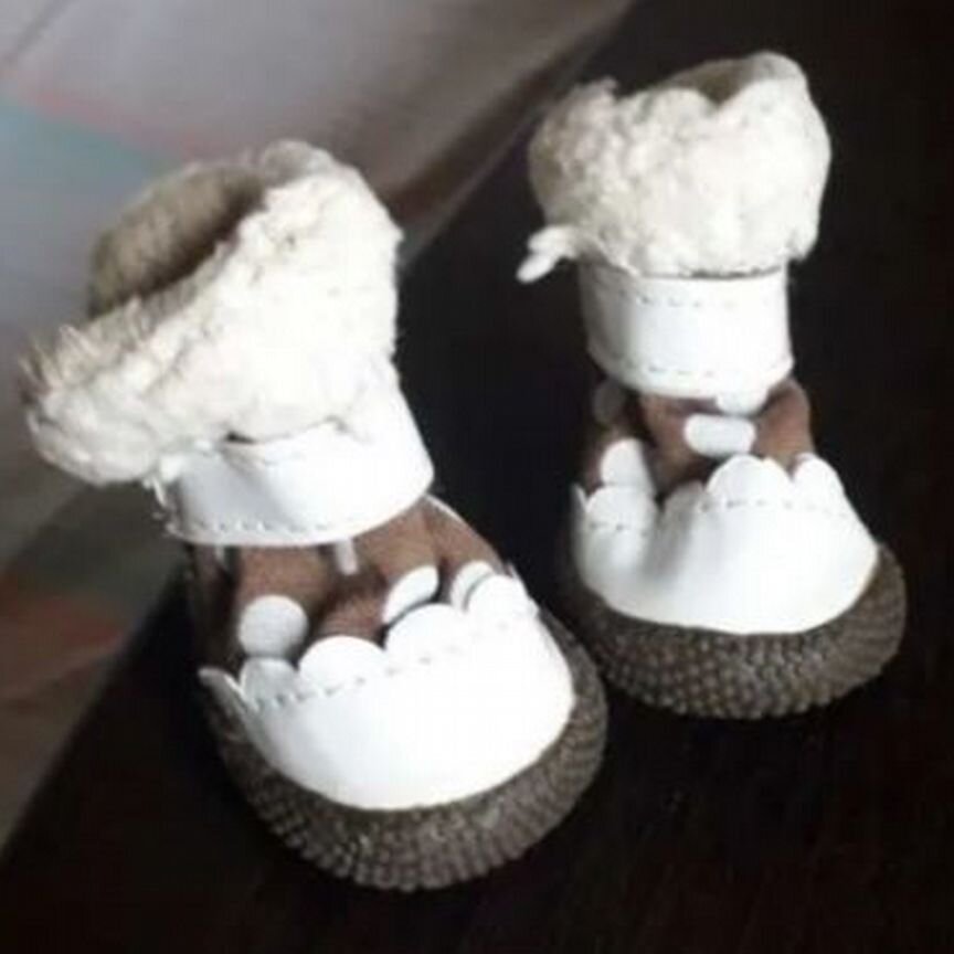 Обувь для маленькой собаки