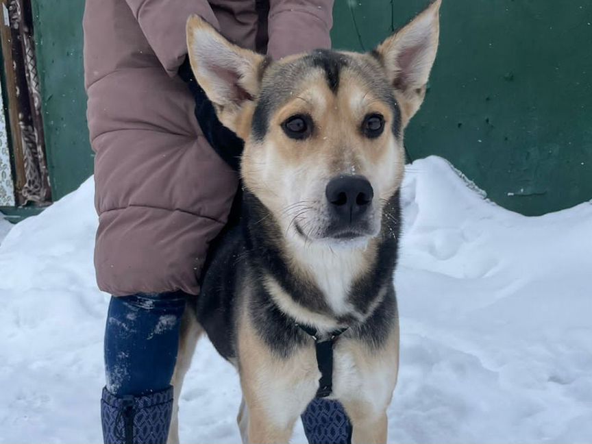 Патрик заслуживает другой жизни