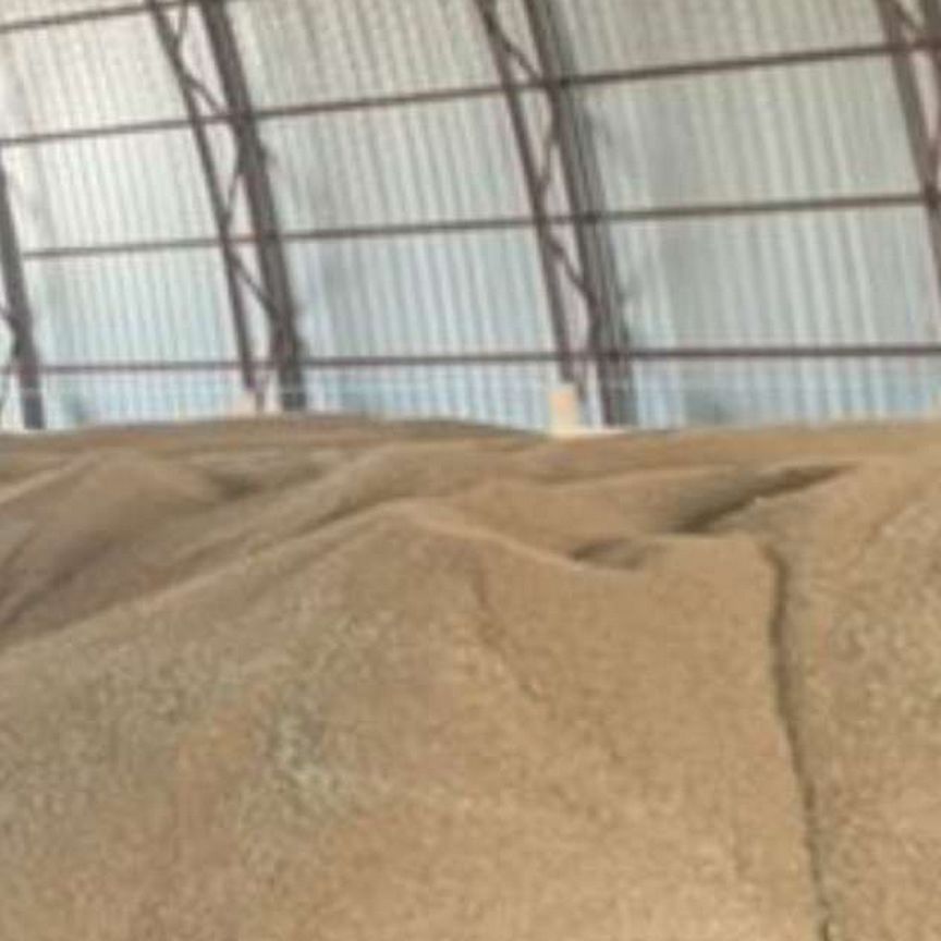 Зерно пшеница ячмень