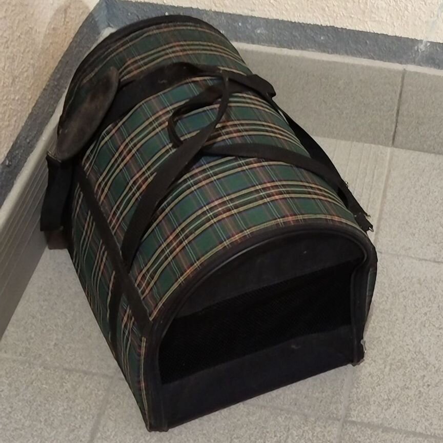 Сумка для животных