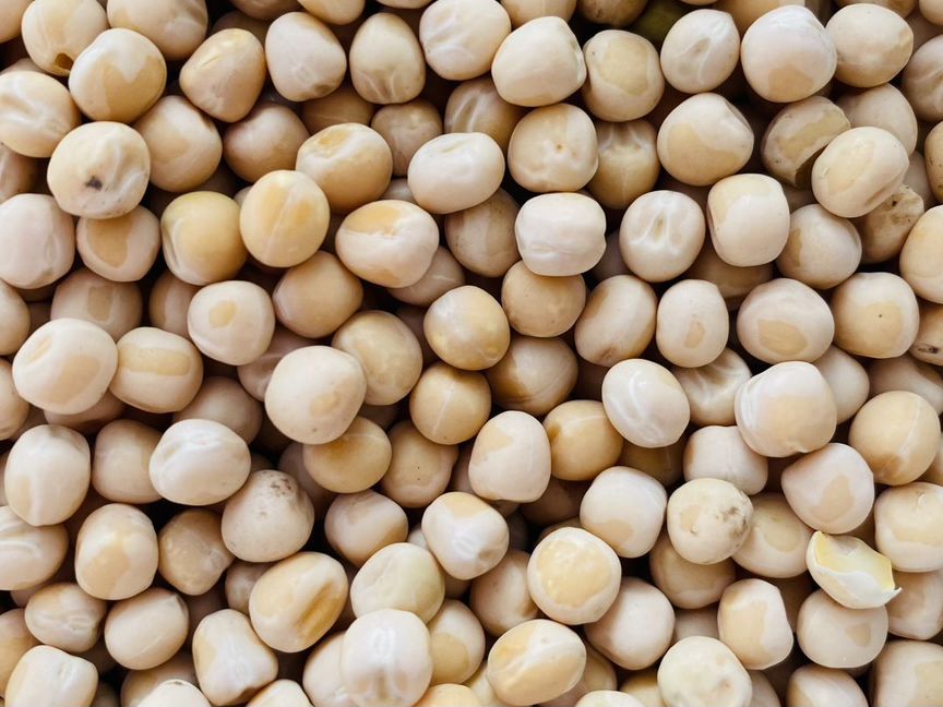 Горох семенной сорт "Вельвет"