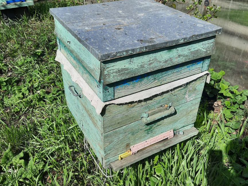 Улей для пчел