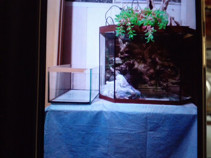 Аквариум, 2 шт