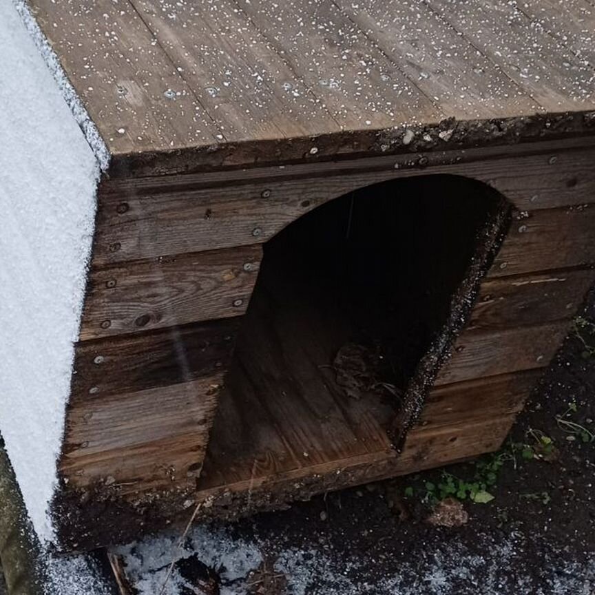 Будка для собаки бу