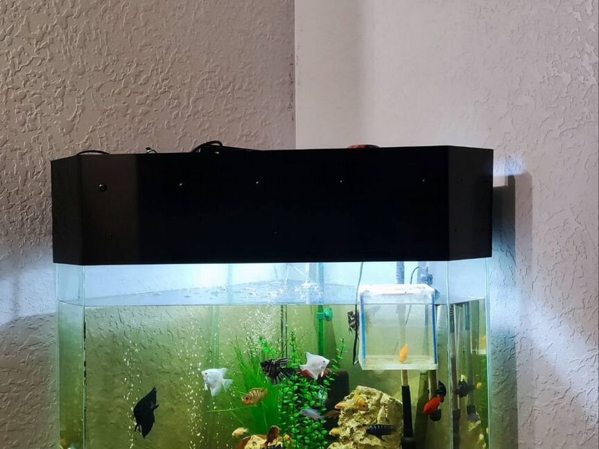 Аквариум с рыбками