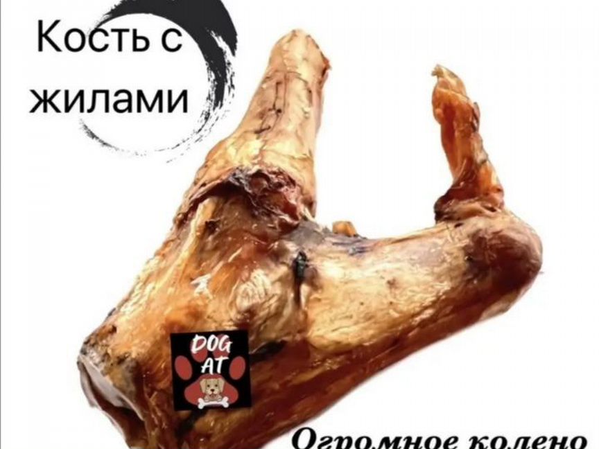 Лакомства для собак крупных и средних пород