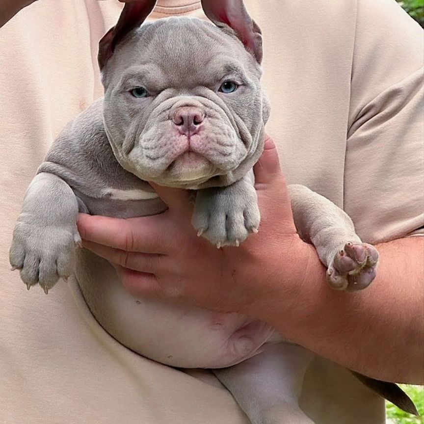 Микро мальчик