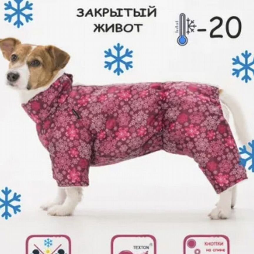 Комбинезон для мелкой собаки новый