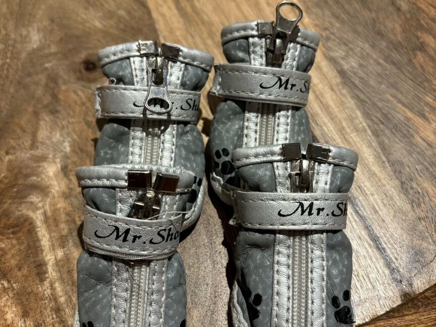 Демисезонные ботинки для собак