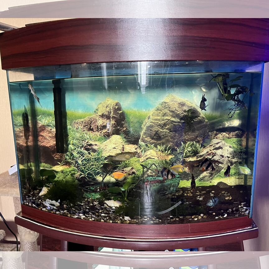 Аквариум с тумбой 100л