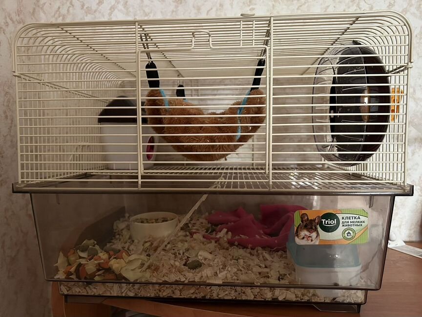 Клетка и мышки