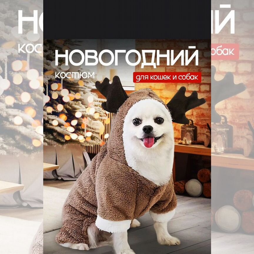 Одежда для животных