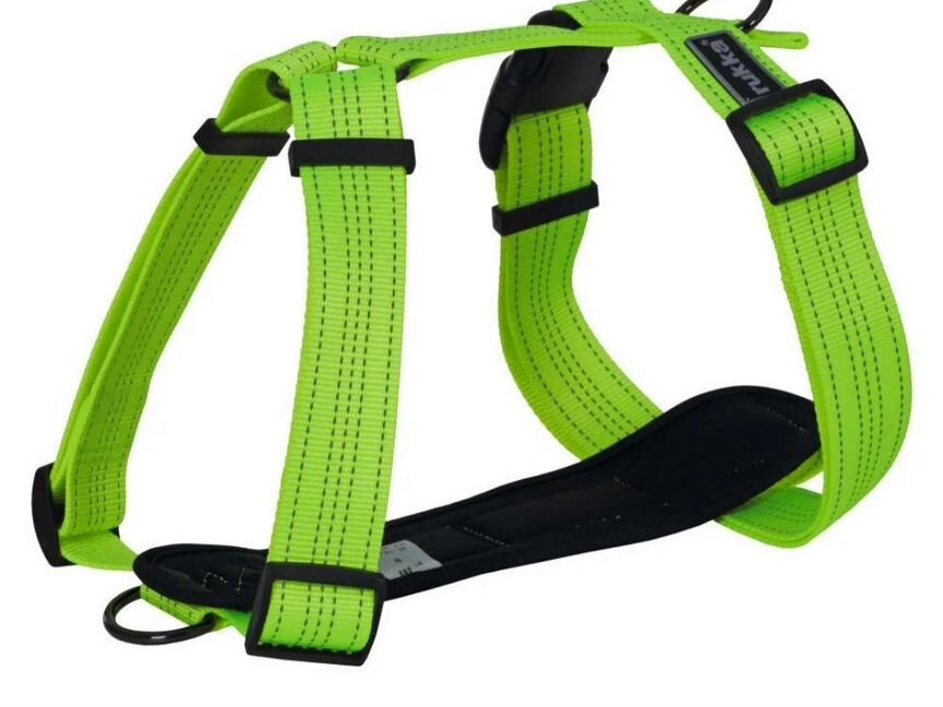 Продам амуницию для собак