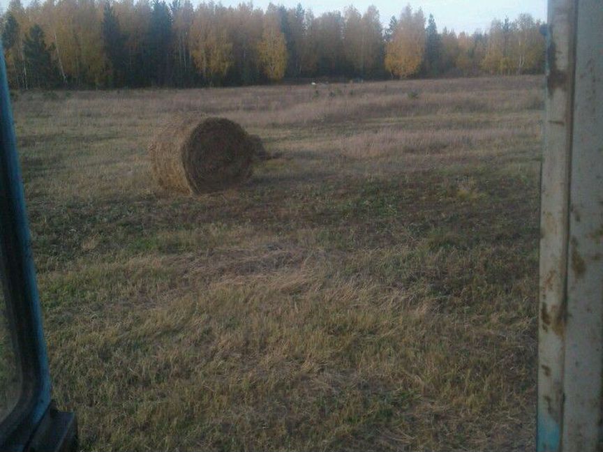 Животные сено