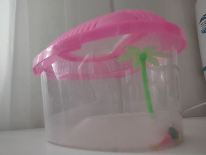 Переноска для черепахи