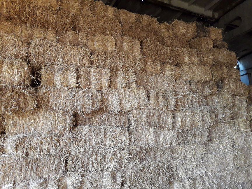 Солома гороховая и пшеничная в тюках