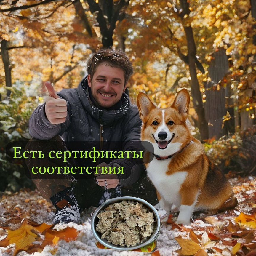 Корм для собак от производителя