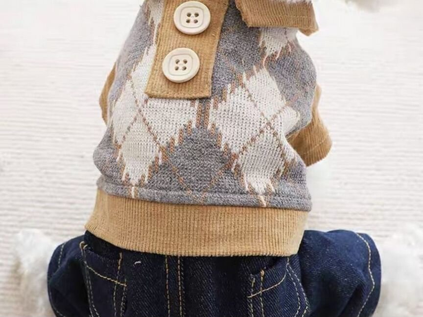 Костюм для собаки