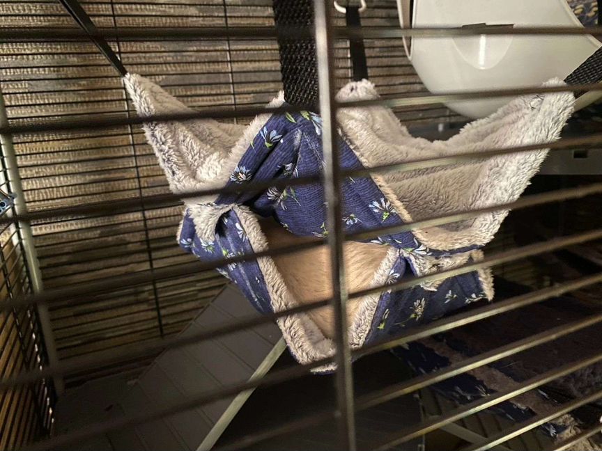 Гамак для крыс