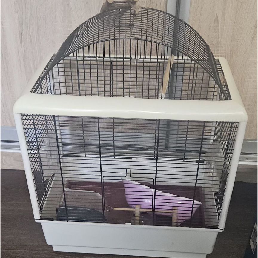 Клетка для попугая бу