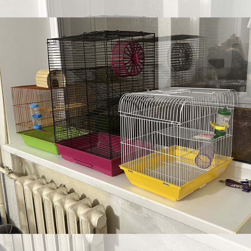Клетка для грызунов бу