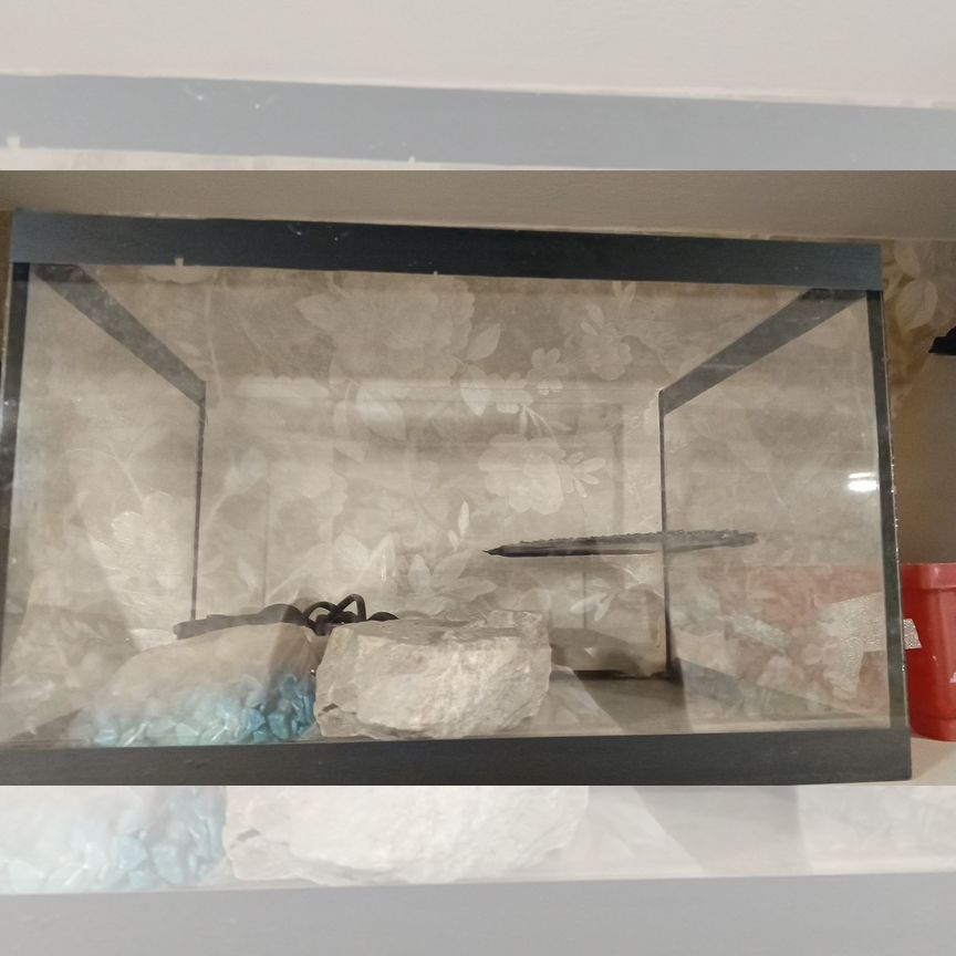 Аквариум с островком