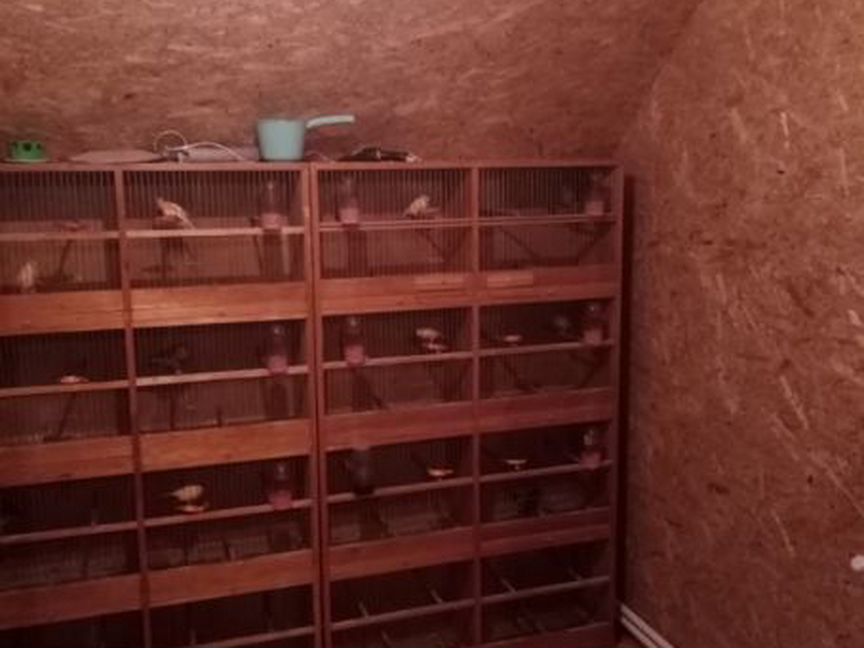 Клетки, боксы,для птиц