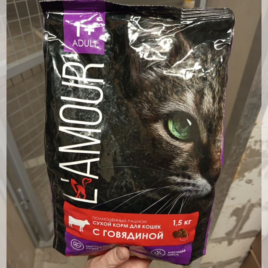 Корм для котика и кошки