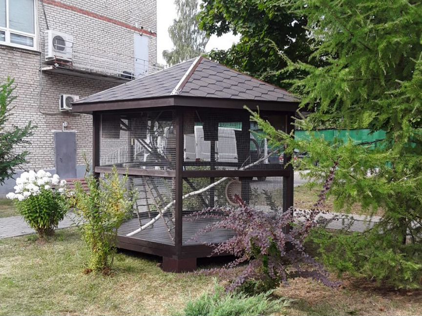 Вольер для белок. Бельчатник