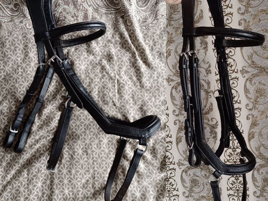 Уздечка анатомическая