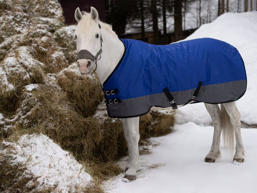 Новая. Попона зимняя для лошади