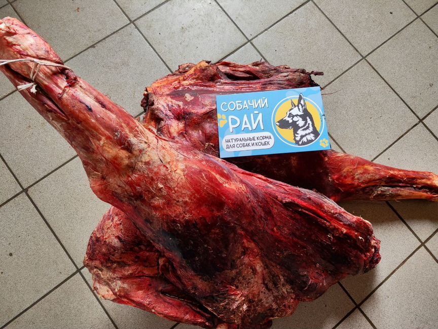 Продам мясо конина